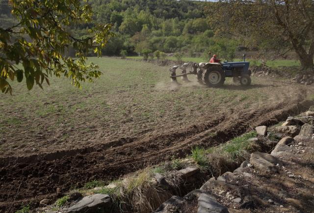 Resultados provisionales de las elecciones al Comité Aragonés de Agricultura Ecológica